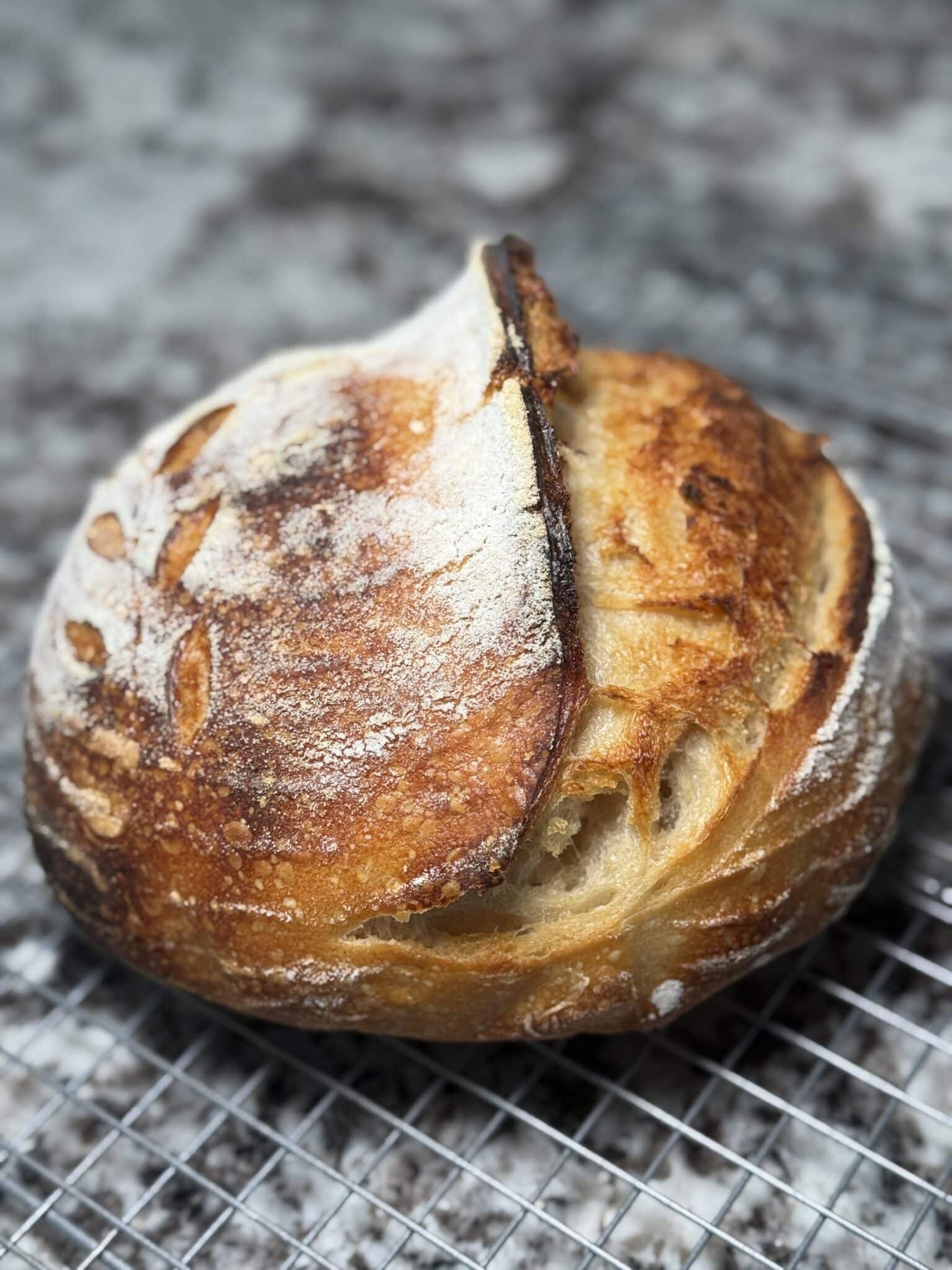 Sourdough Bread - Hugs and Cookies XOXO